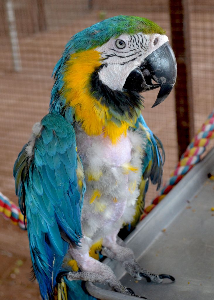 Hankey - The Oasis Sanctuary
