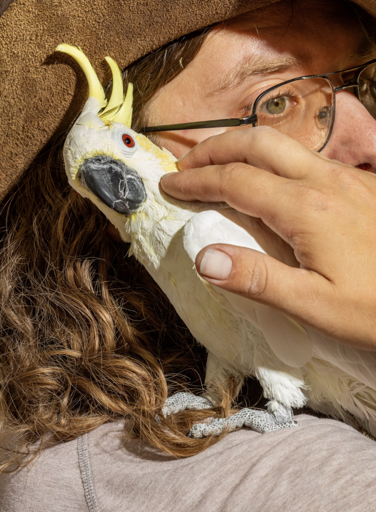 What happens to exotic pets that outlive their owners? - The Oasis Sanctuary